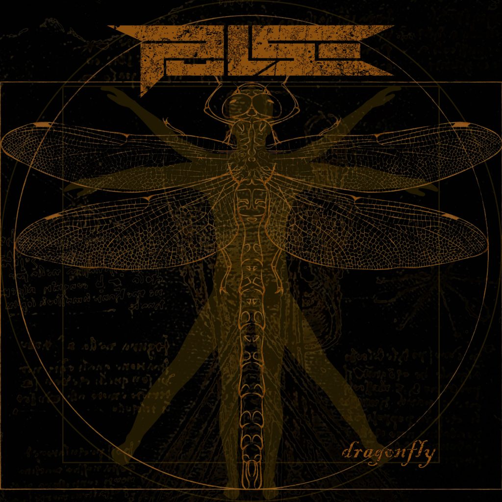 Pulse (Rock) - Pulse (Hard Rock)